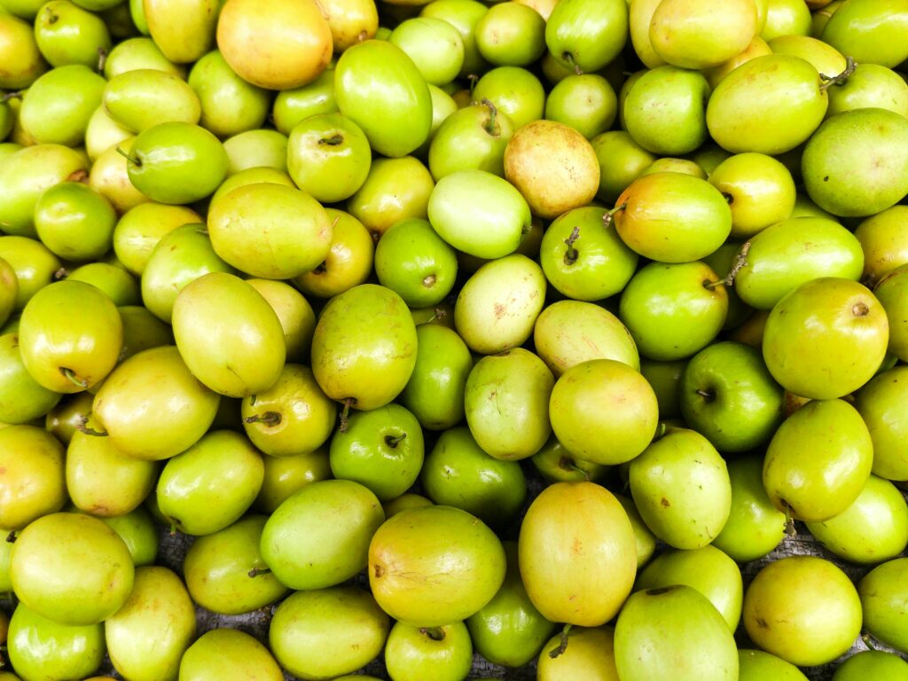 Fresh Chinese jujubes imported into Australia - Australian ...